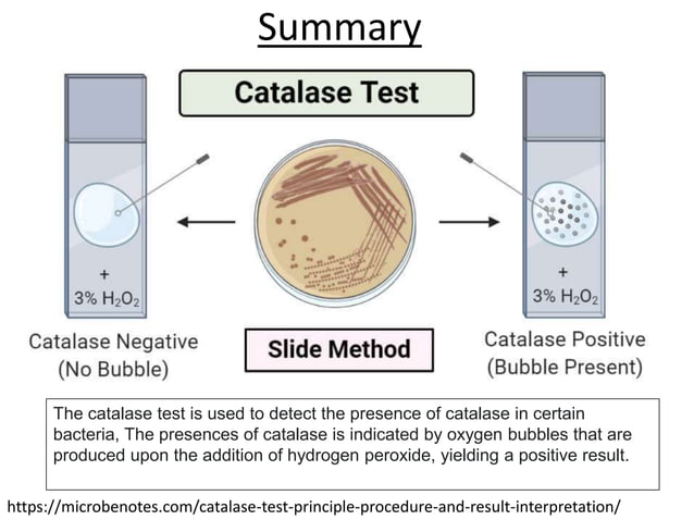 catalase test presented by dr mohan singh dhakad | PPTX