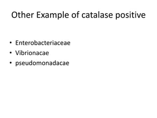 catalase test presented by dr mohan singh dhakad | PPTX