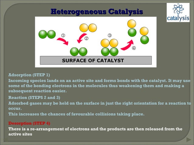 Catalysis | PPT | Chemistry | Science