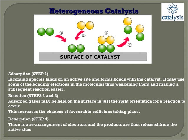Catalysis | PPT | Chemistry | Science