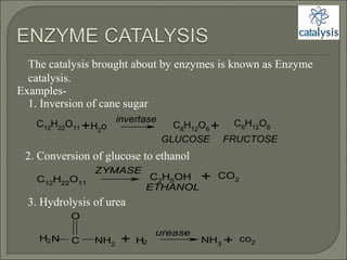 Catalysis | PPT