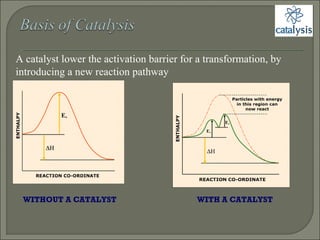 Catalysis | PPT