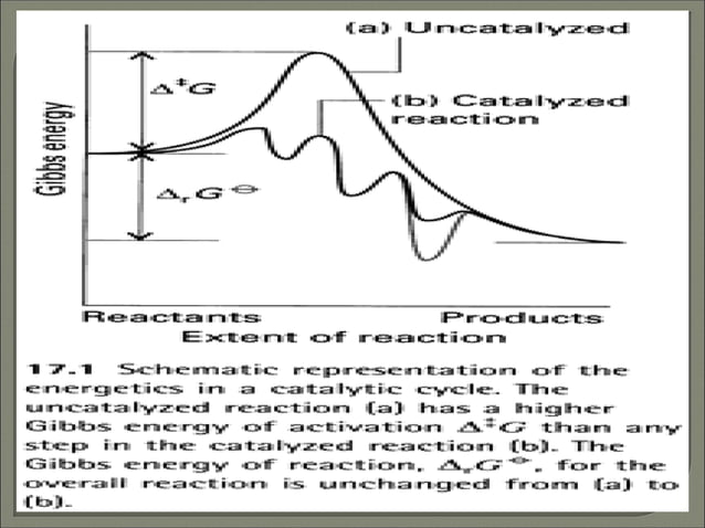 Catalysis | PPT | Chemistry | Science
