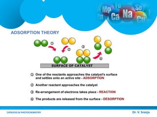 Catalysis | PPTX