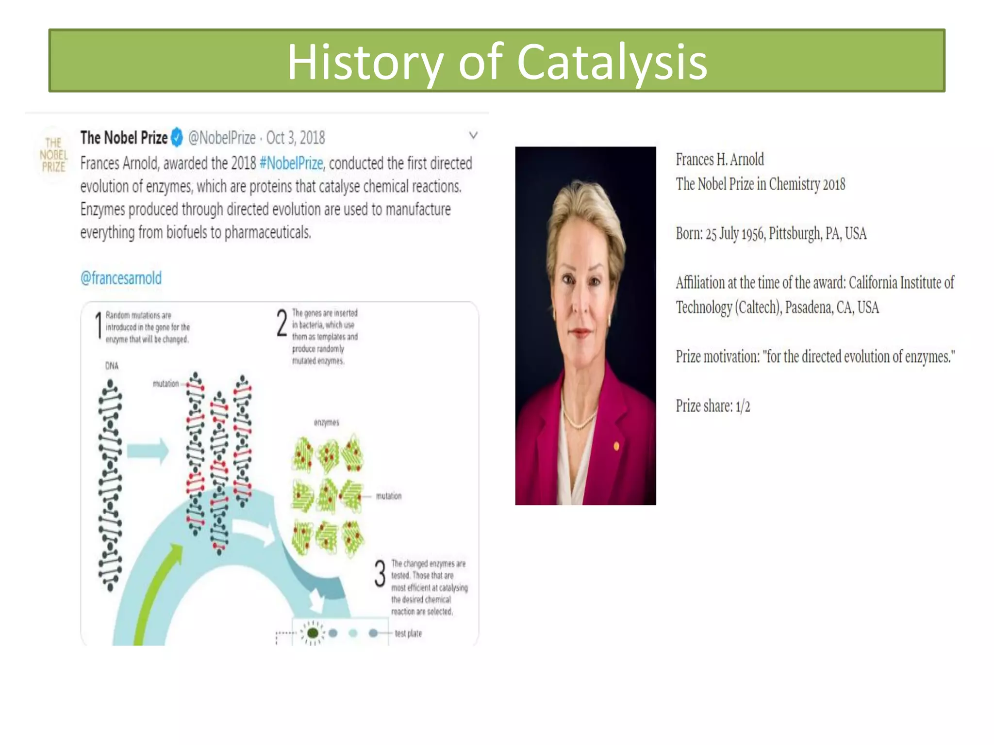 Catalysis lecture 1 | PDF