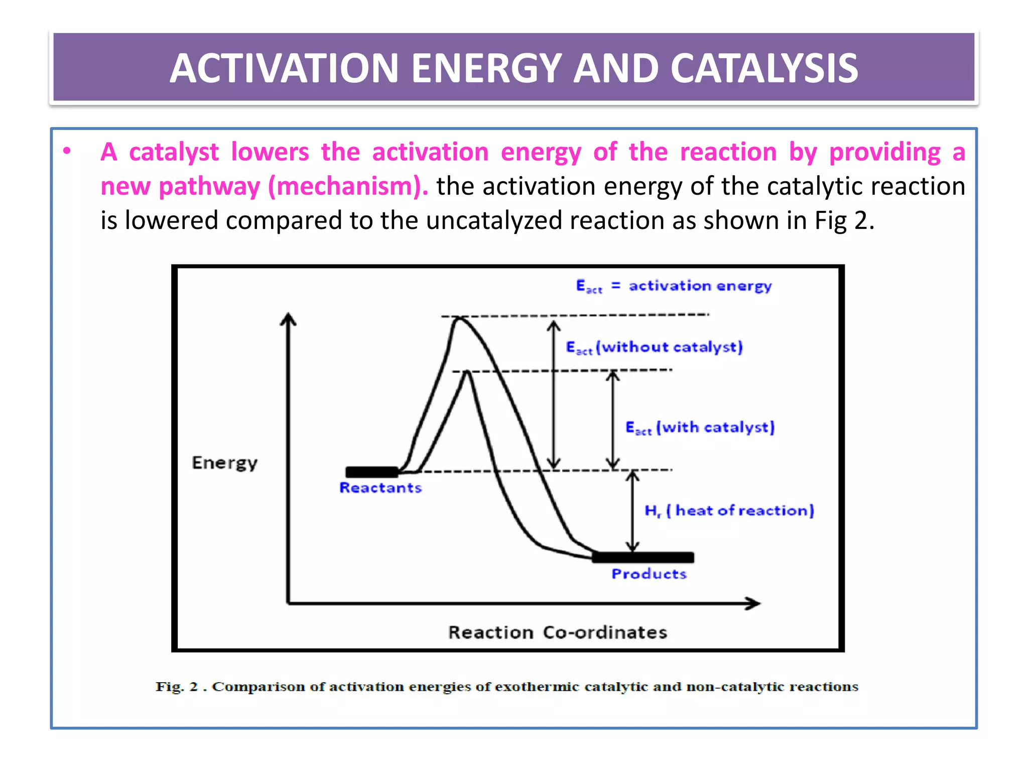 Catalysis lecture 2 | PDF