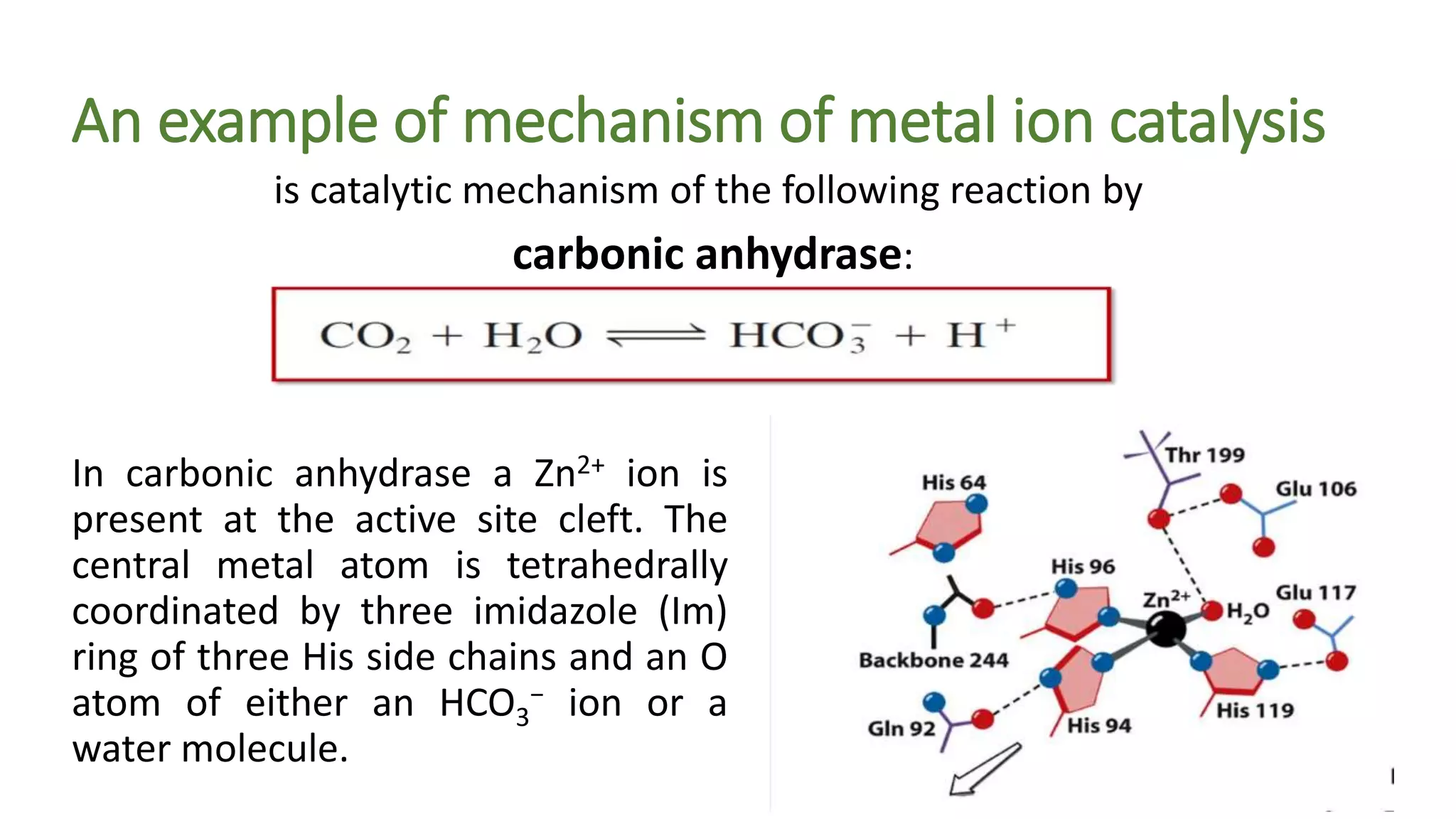 Catalysis mechanisms | PPTX