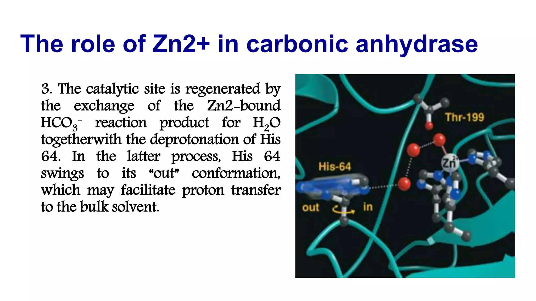 Catalysis mechanisms | PPTX