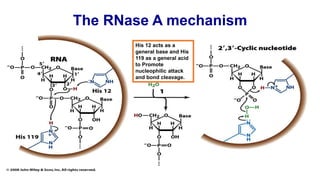 Catalysis mechanisms | PPTX