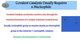 Catalysis mechanisms | PPTX
