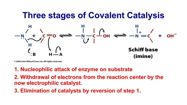 Catalysis mechanisms | PPTX | Chemistry | Science