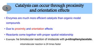 Catalysis mechanisms | PPTX