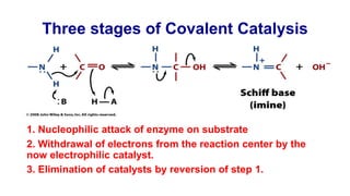 Catalysis mechanisms | PPT