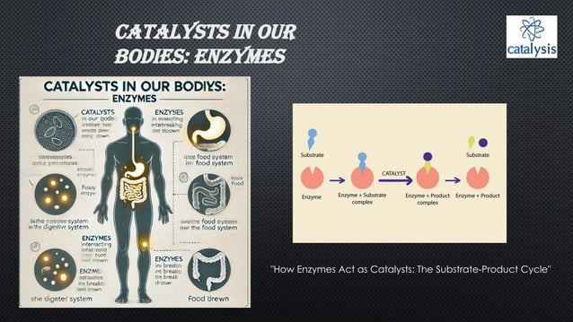 catalysis presentation slide 44 .pptx