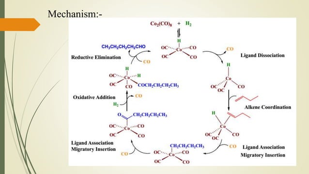 Homogenous catalysis & Biocatalysis | PPTX