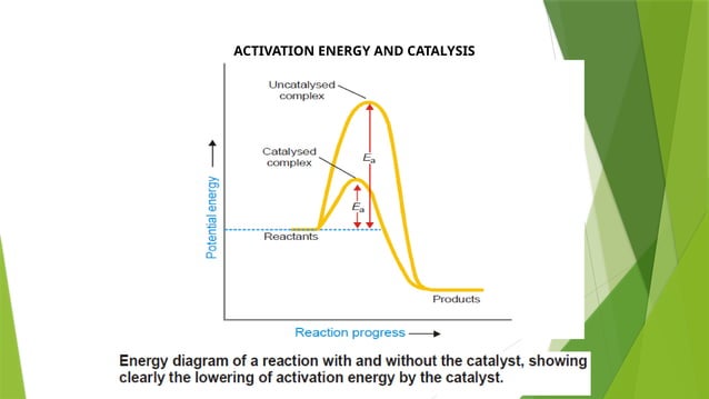 Catalyst and Chemical Reaction PPT...pptx | Chemistry | Science
