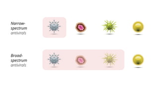 Broad-Spectrum Antivirals: An Essential Tool for Biosecurity | PPT