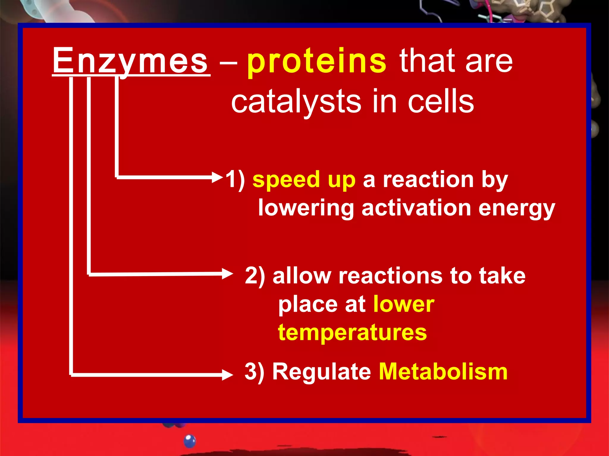 Catalyst and enzymes | PPT