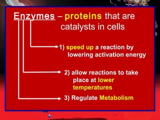 Catalyst and enzymes | PPT