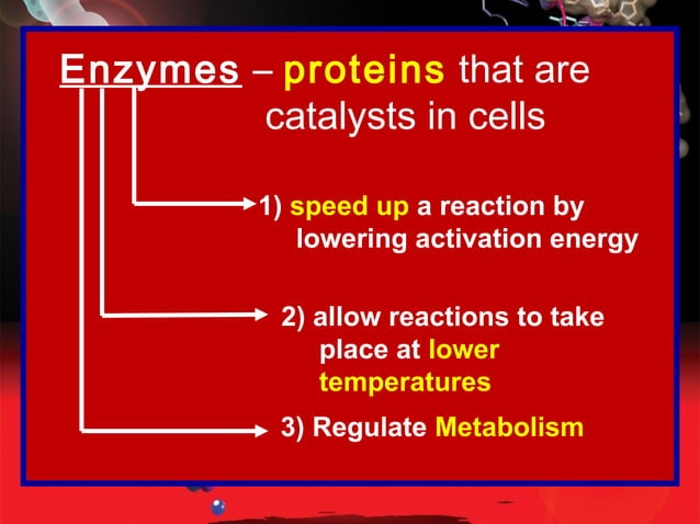 Catalyst and enzymes | PPT