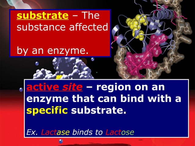 Catalyst and enzymes | PPT