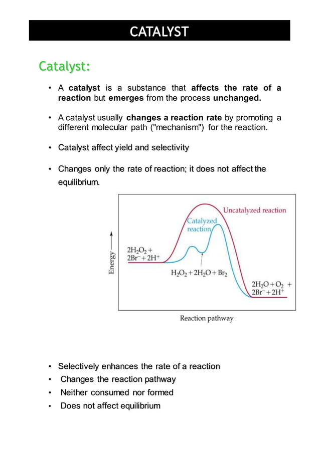 Catalyst and their types | DOCX