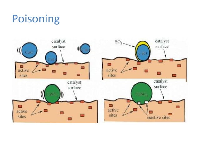 Catalysts in industry | PPTX | Chemistry | Science