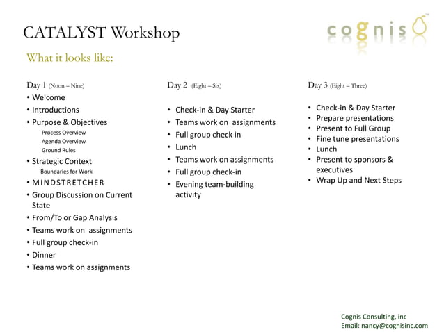 Catalyst Workshop Engagement Overview | PPT