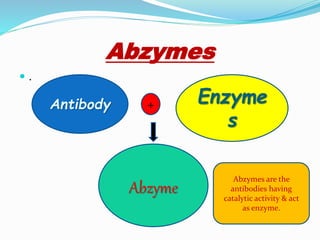 Catalytic antibodies | PPTX