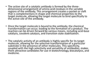 Catalytic Antibody.pdf