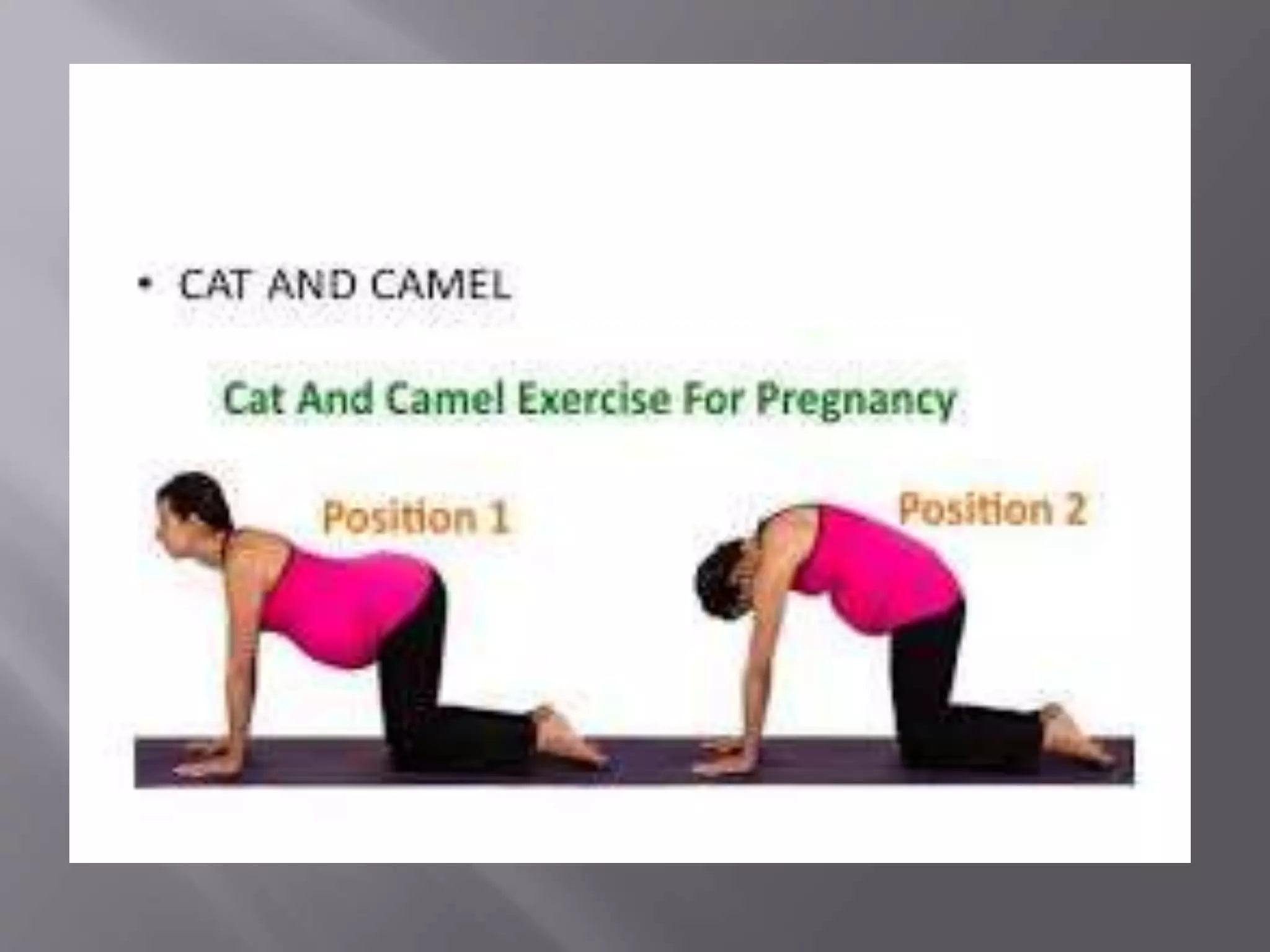 Cat and camel exercises | PPT