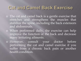 Cat and camel exercises | PPT