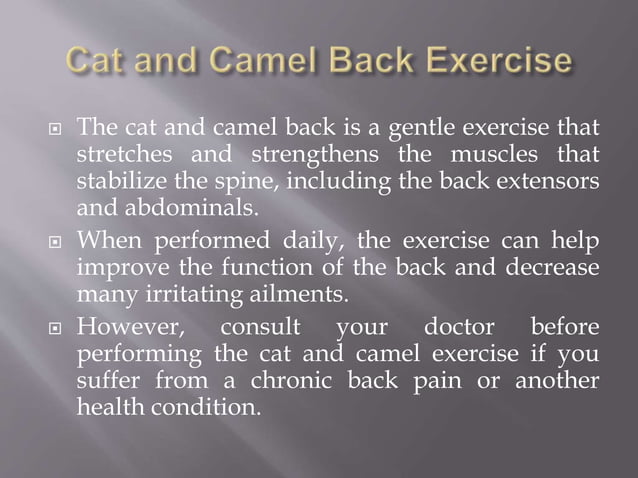 Cat and camel exercises | PPT
