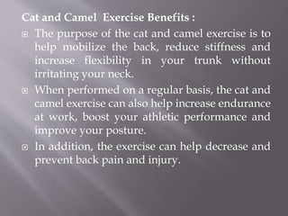 Cat and camel exercises | PPT