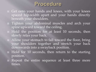 Cat and camel exercises | PPT