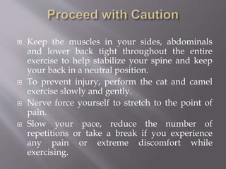 Cat and camel exercises | PPTX