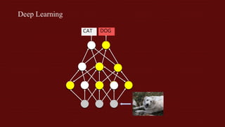 Cat and dog classification | PPTX