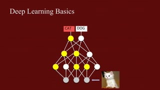 Cat and dog classification | PPTX