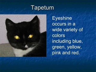 Cataract | PPT