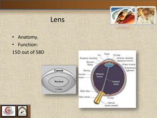 Cataract | PPTX