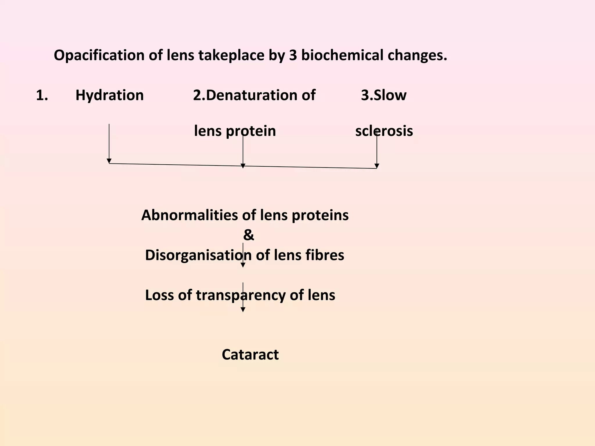 Cataract | PPT