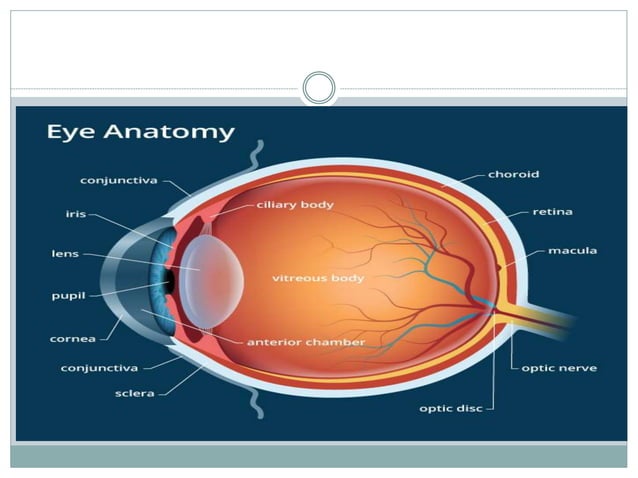 Cataract-Ppt.pptx | Eye and Vision Conditions | Diseases and Conditions