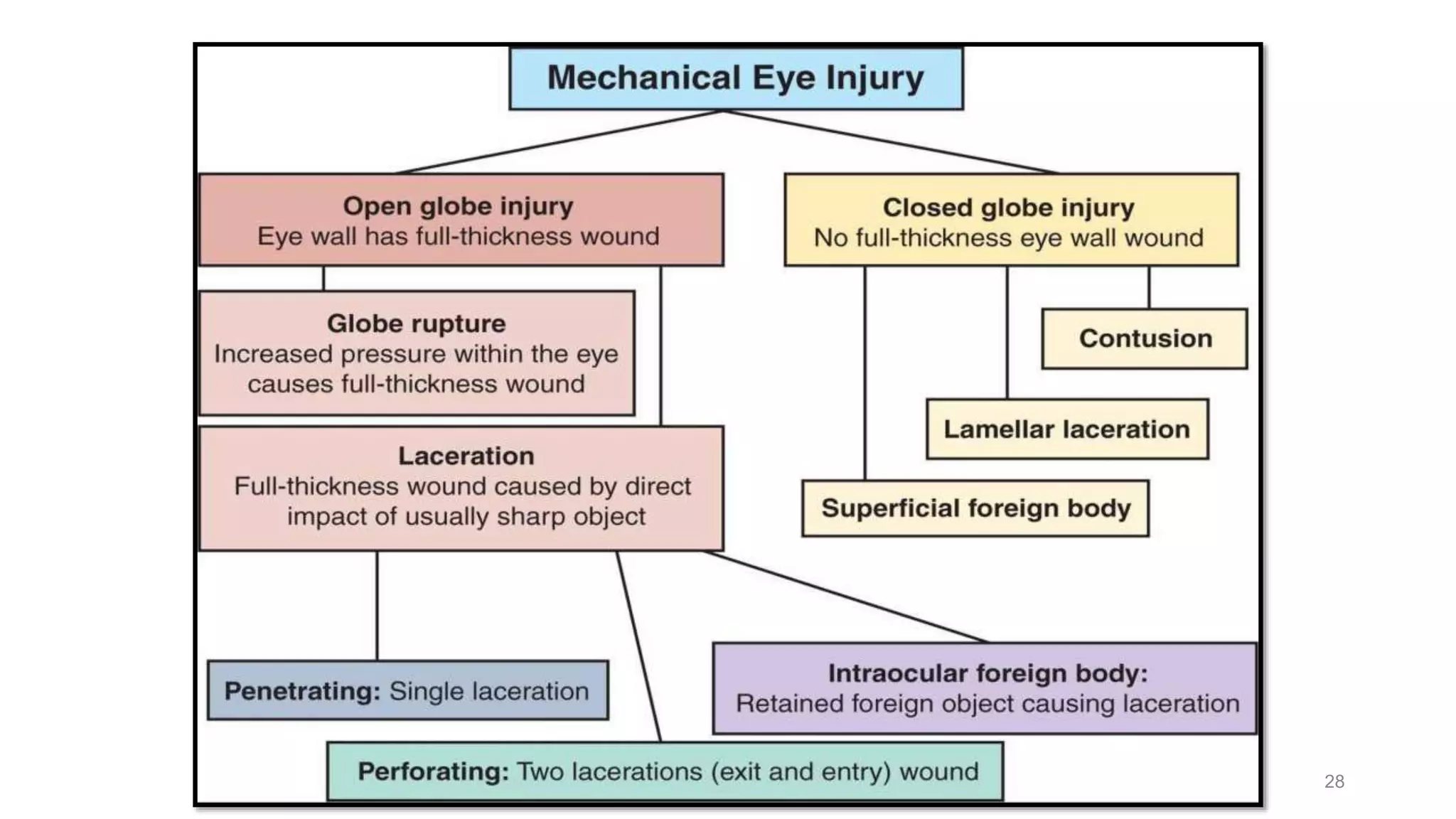CATARACT, ANISOCORIA AND OCCULAR INJURIES.pptx | Death, Injury, or ...