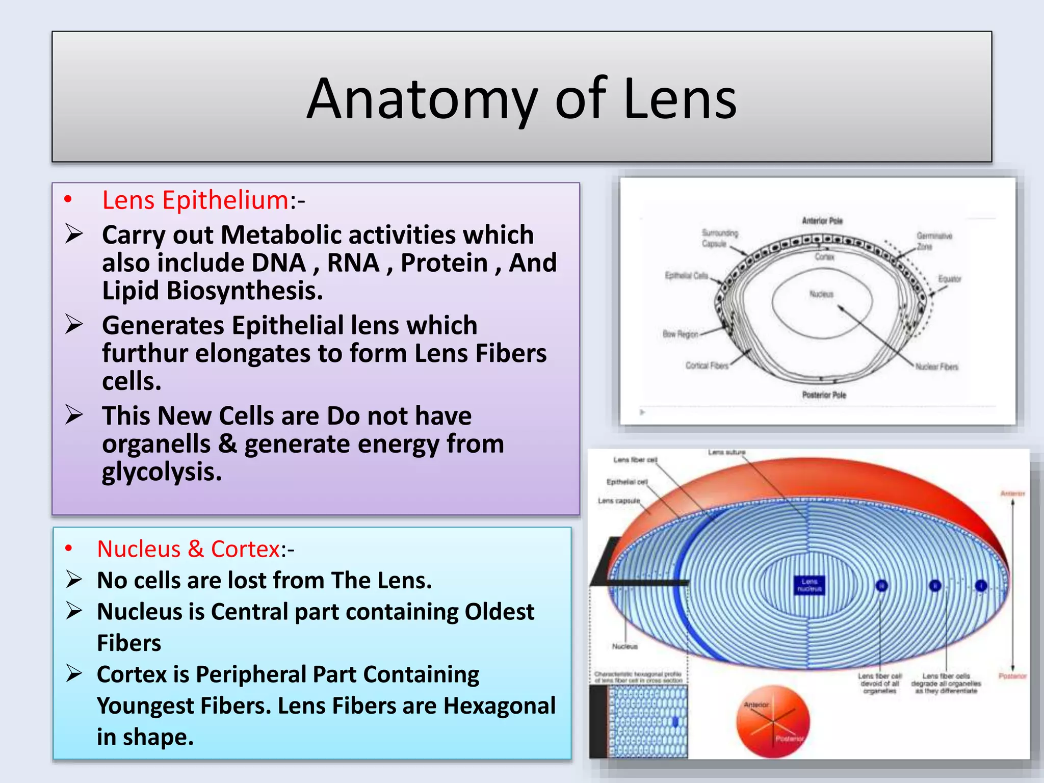 Types Of Cataract | PPTX