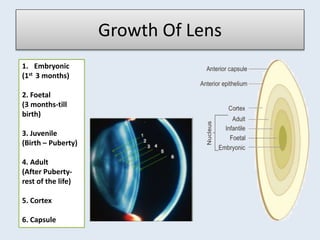 Types Of Cataract | PPTX