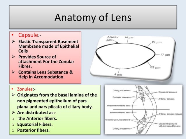 Types Of Cataract | PPTX