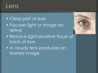 Cataracts | PPT