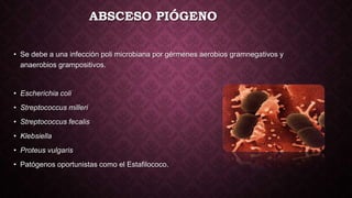 abseso hepatico | PPTX