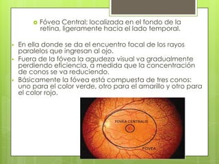Cataratas y trastornos de oído externo Enfermeria | PPTX