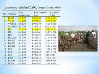 Cassava breeding and screening activities in China | PPT | Free Download
